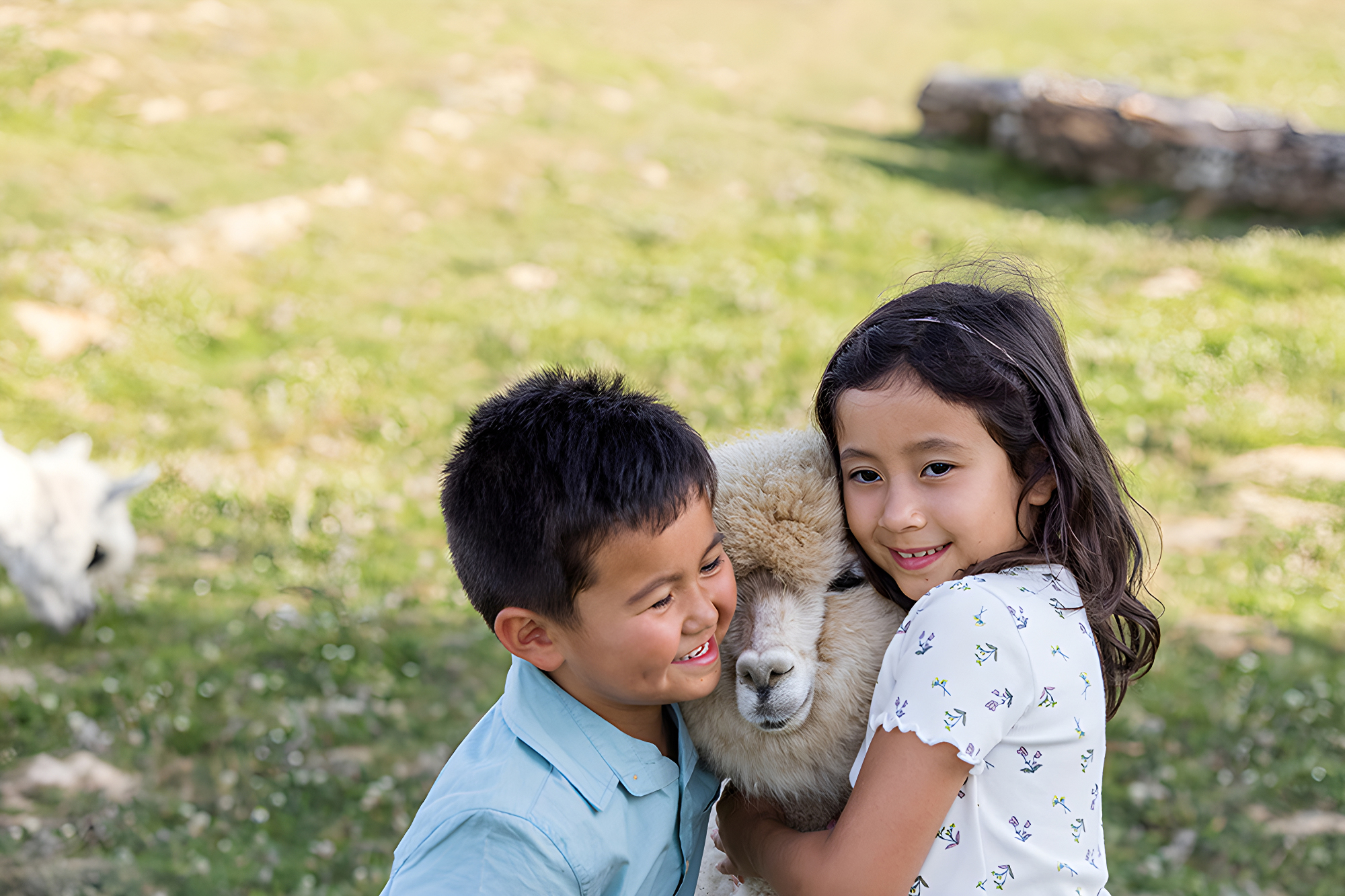 Que faire à Paris avec des enfants ? | Campings Country Park Paris